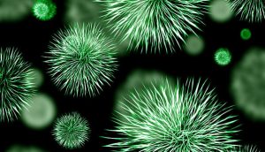 Rudolf Breuss – Die Krankheit „aushungern“ und sich selbst heilen ...